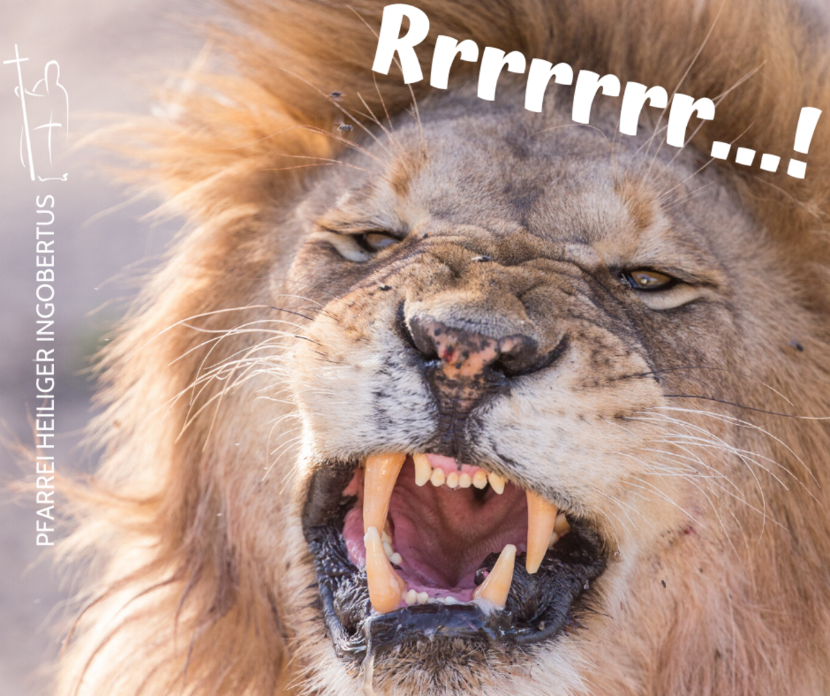 Rrrrrrr...! | Pfarrei Hl. Ingobertus, St. Ingbert